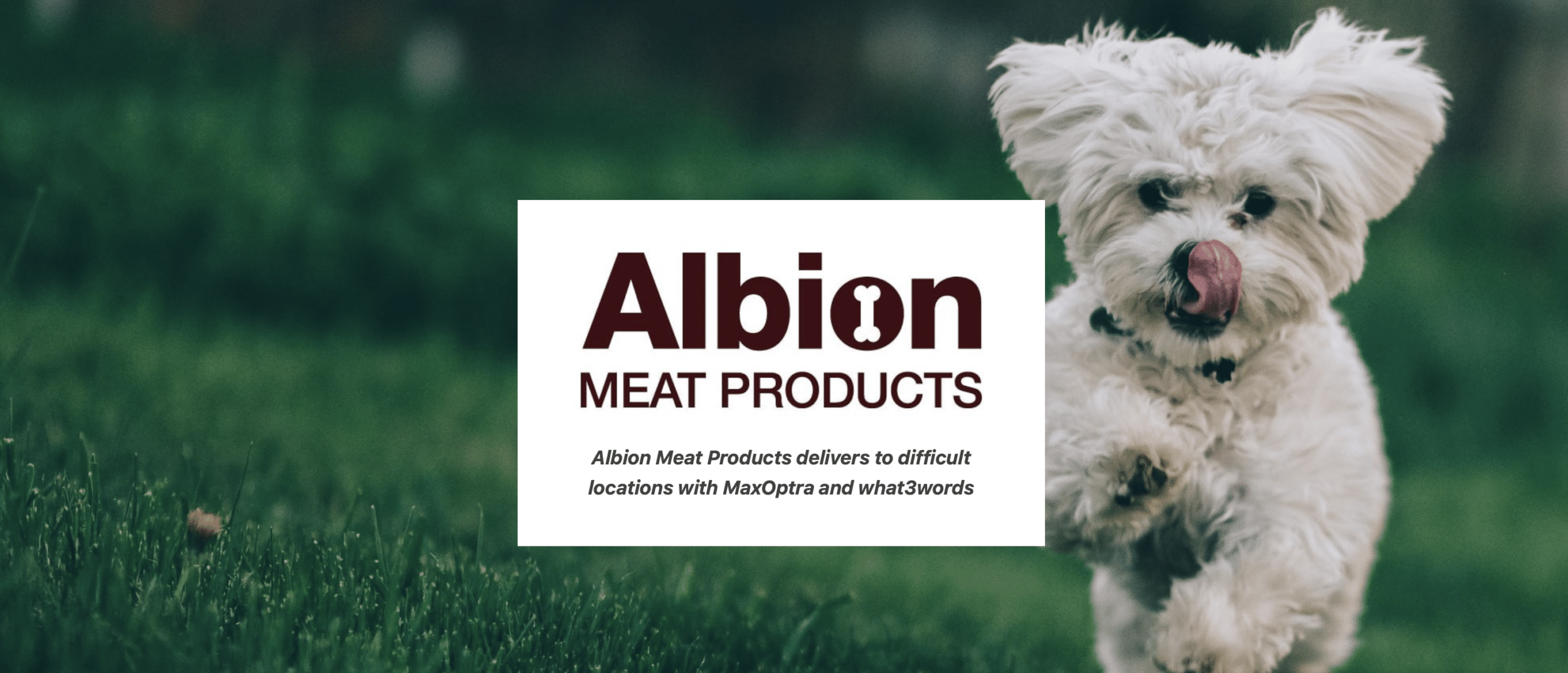 Albion Meats case study - Maxoptra